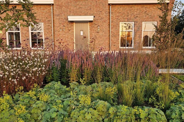 Landelijk Moderne tuin - Peter Graat Tuinontwerp & Advies